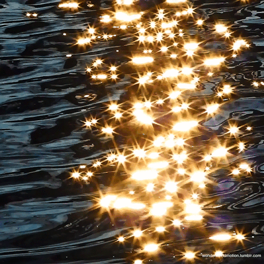 Gold Glitter Gif Tumblr