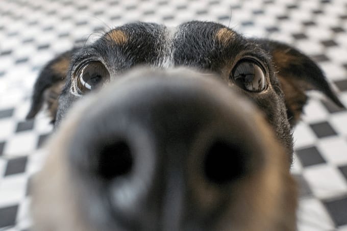 Creating TCP/IP scanner in Golang | by Higor Diego | DevOps.dev