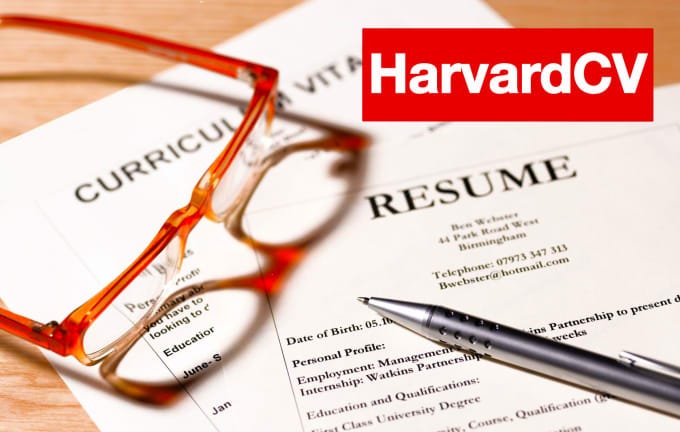 5 best resume writing services on Fiverr in 2021 | by ReviewFiverrGigs ...