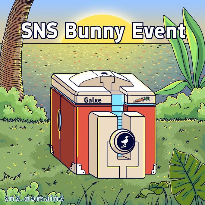 SNS BUNNY MYSTERY BOX - weberanb - Medium