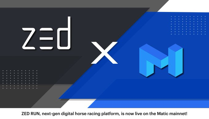 ZED RUN on Matic Network — Summary Update | by Anikys3reasure | Medium