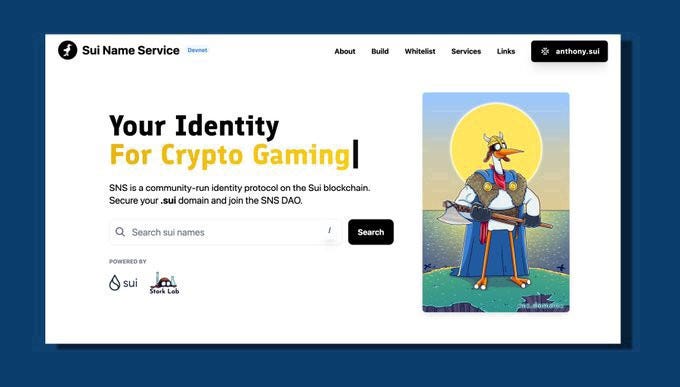 SUI DEVNET IS HERE!! - IntricateN - Medium
