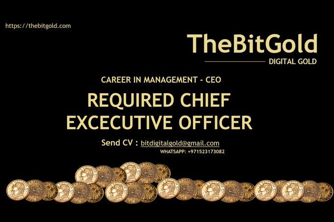 BitGold. Before discussing the differences in… | by Leroysane | Medium