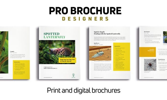 Review! I will design pdf digital brochure print ready for $40 | by ...