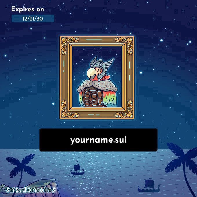 SNS DOMAIN NFT - Ravinaarorayt - Medium