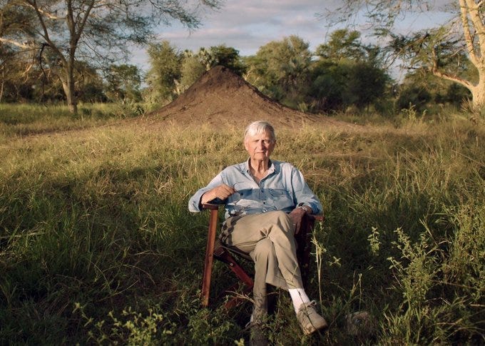 E.O. Wilson, Nature and Biodiversity | by Axial | Medium