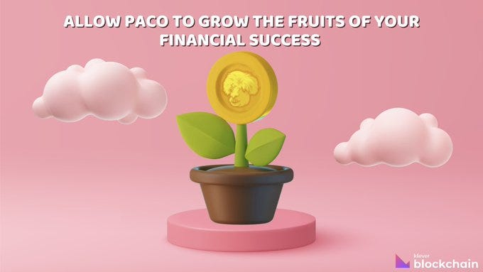 WHY PACO DE LLAMA. We all enjoy meme coins, don’t we… | by Janusaudron ...