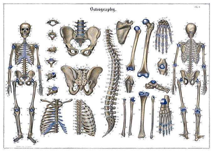 A Fire in My Rib Cage — Poem — 177 | by Tucker K Sullivan | Medium