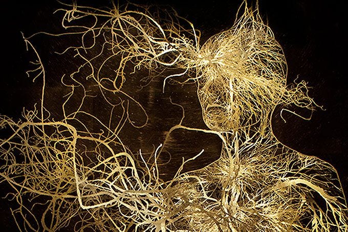 The Weird And Unusual. A look into Philadelphia’s hidden gems | by ...