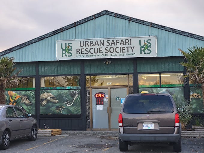 Get to Know Your Exotic Local Wildlife at the Urban Safari Rescue ...
