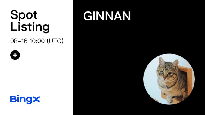 Ginnan The Cat: The Feline Meme Coin Shaking Up the Crypto World | by ...