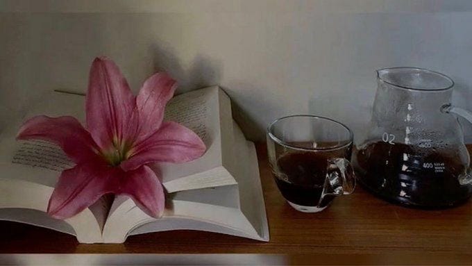 Thank You For Your Hard Work | by Shalula | Mar, 2025 | Medium