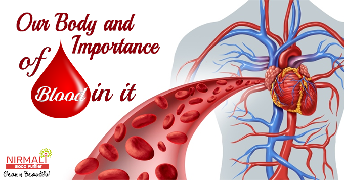 Our Body and Importance of Blood in it | by NIRMALI SYRUP | Medium