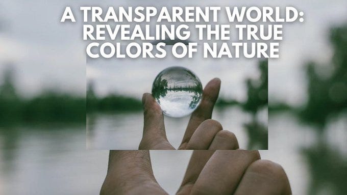 A Transparent World: Revealing the True Colors of Nature 1,0,1 ...
