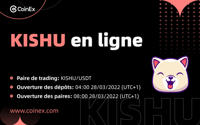 Qu’est-ce que Kishu Inu ?. Kishu Inu coin est une crypto-monnaie… | by ...