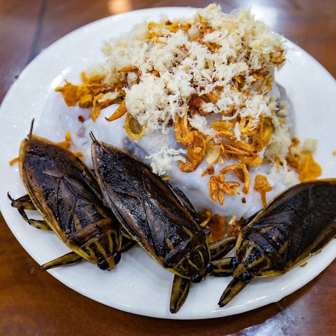 Lethocerus Indicus. Discover the Secret Behind Hanoi’s… | by B2B2Spices ...
