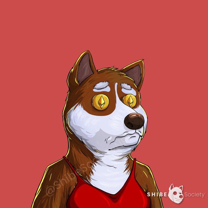 Moonlight tales By Shibe Society : Shiba society Project | by Daniel ...