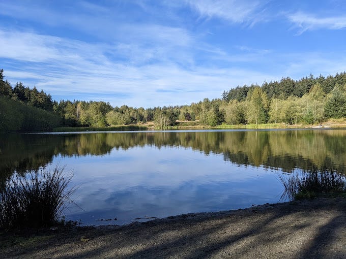 Unearth the Enchantment of Green Timbers Urban Forest Park: A Treasured ...