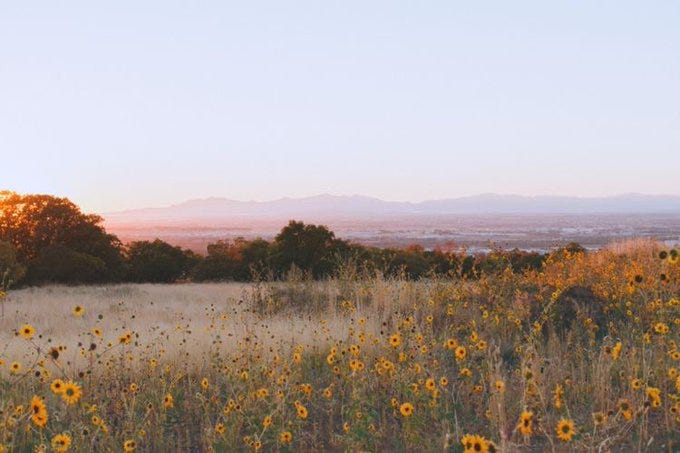 01: Unreachable places - Philiaa - Medium