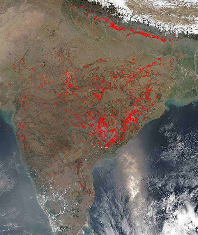 Waste biomass power set to surge in India | by willie brent 白維 ...