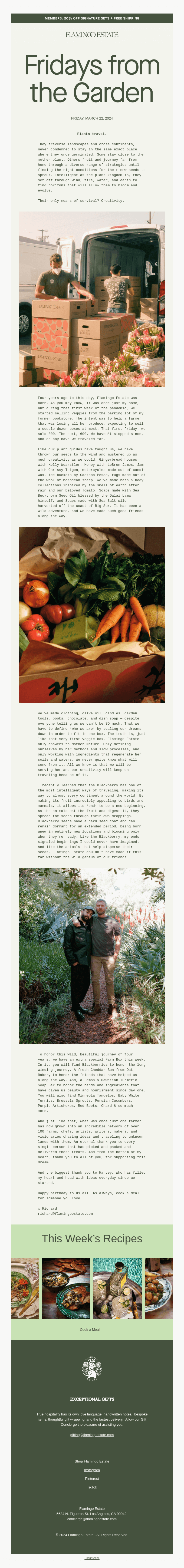 Review of a Really Good Email. Since this is my first post on Medium… | by Archibong Tom | Oct ...
