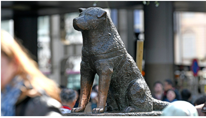Hachiko Drawing