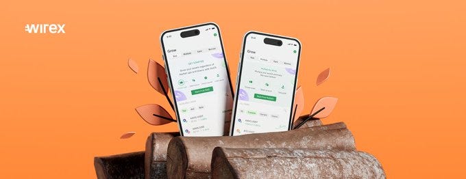 Wirex Wallet — Your Passport to the Crypto Amusement Park | by ...