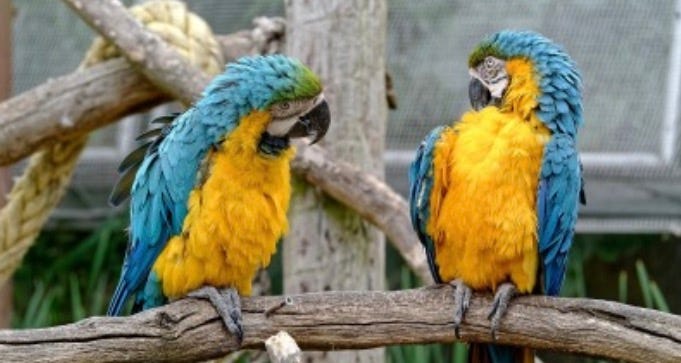 The new place to be heard – Social Media — Do I need it? What is the huge fuss? | by Moshe Weiss ...