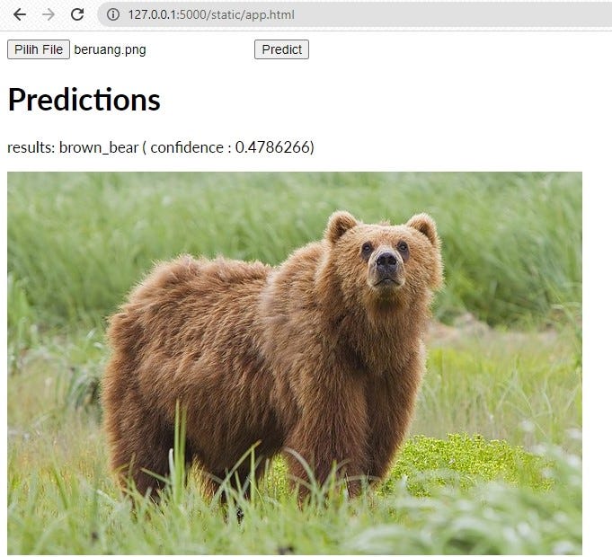 Web Service: Tutorial Membuat Prediksi Gambar Hewan dengan Flask Python ...