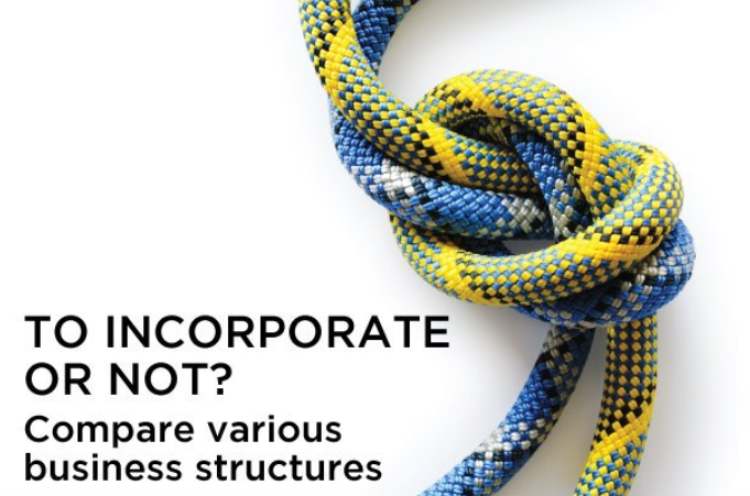 How is YOUR Company Structured?. One of the basics of business planning ...