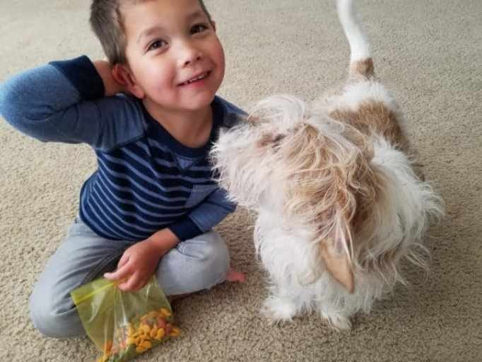 Charitable Young Boy Donates Part Of His Allowance To Help Shelter Dogs ...