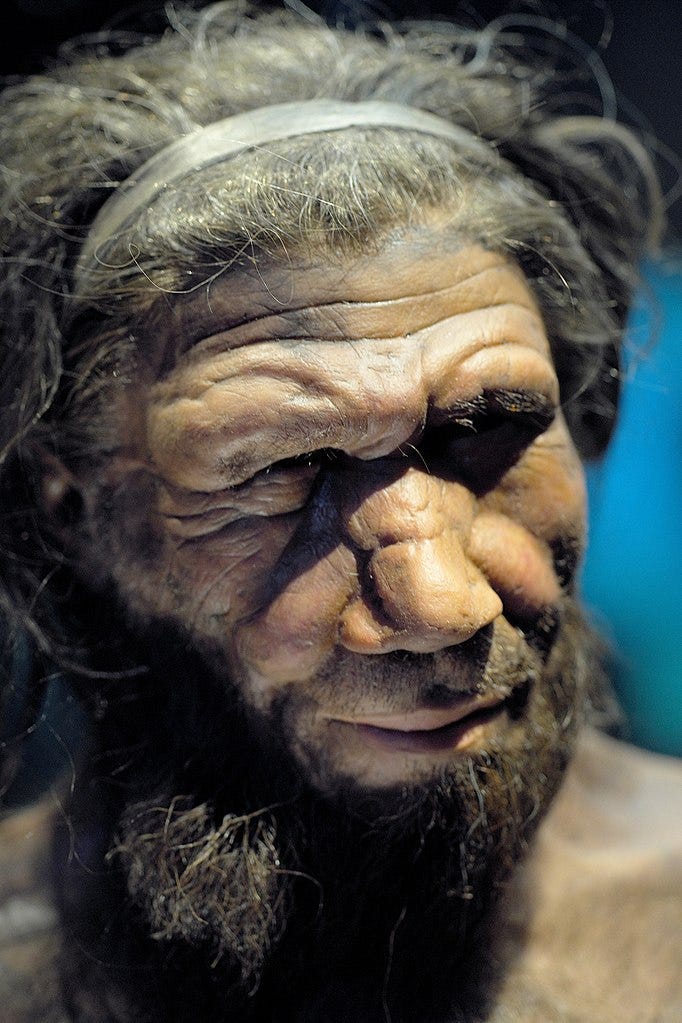 Why Are Human Faces Shrinking?. Compared to our ancestors and our… | by ...