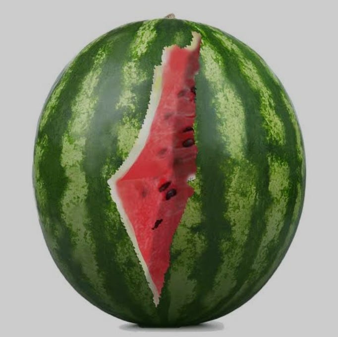 The Seeded Watermelon. The whole world is collapsing, it is… | by ...