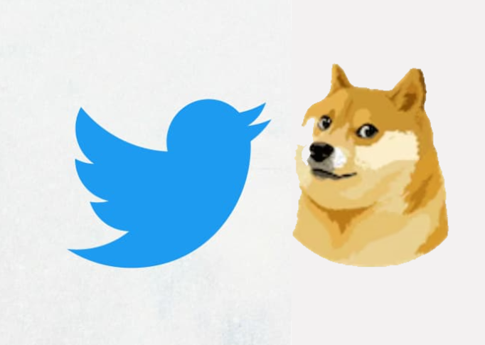 Blue Shiba Inu