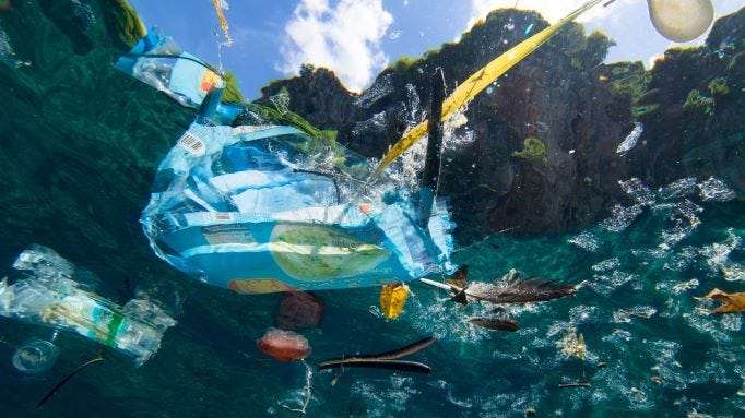 How is the plastic crisis affecting the world? | by Pallavi Verma | Medium