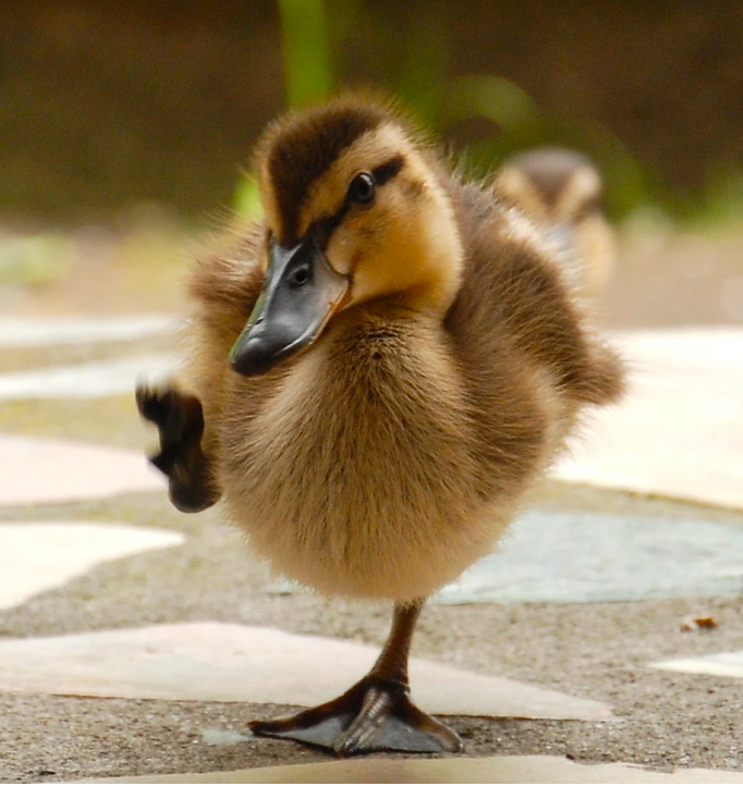 Going to war with our preferences | by Katja Schwarzbach | Sep, 2024 | Medium