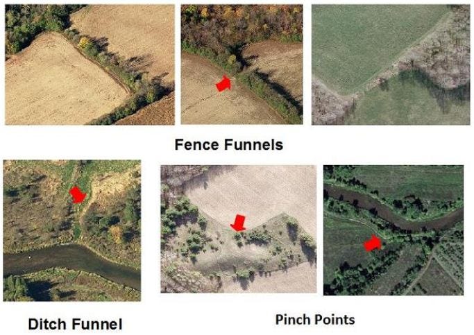 Habitat Management | Create Deer Funnels on Your Property | by ...