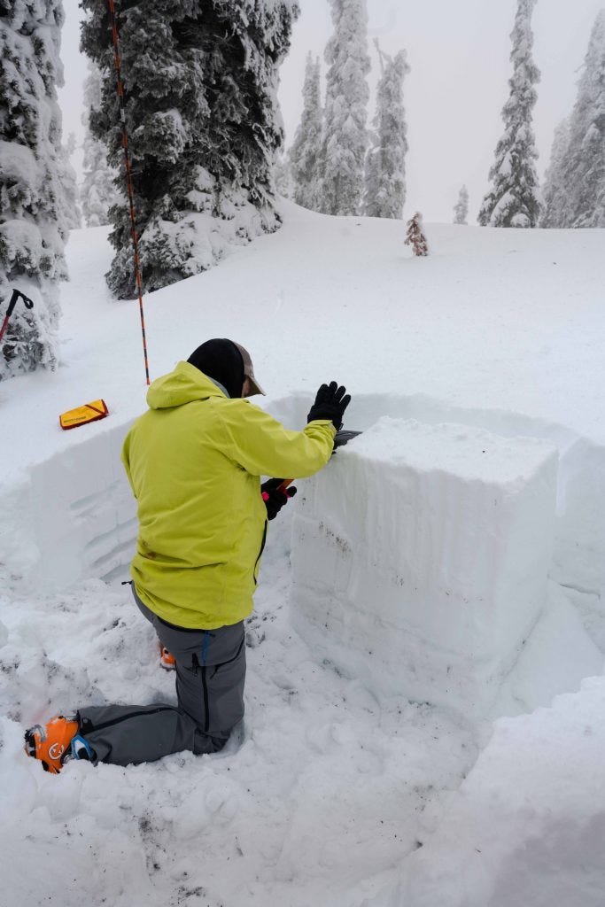 Back to School: Remote Outdoor Education | by Outdoor Prolink | Medium