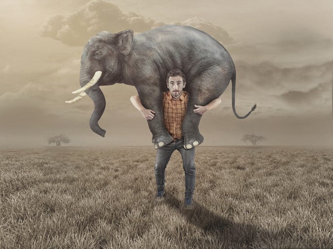 “Sir, There’s An Elephant On Your Chest” | by K Blake | Medium