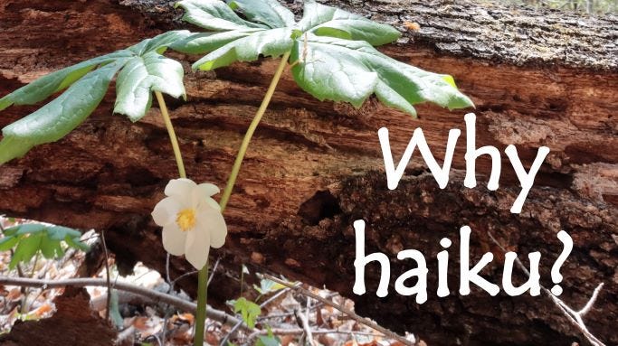 Why haiku? By Martin E. Dodge | Medium