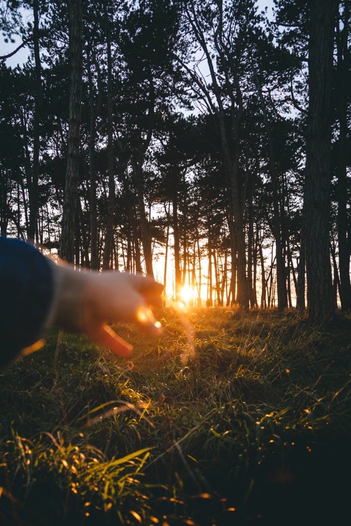 A Summary of “The Power of a Positive Team: Proven Principles and ...