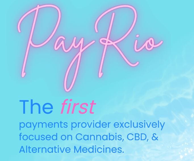 Streamline Your Payment solutions with PayRio | by Pay Rio | Oct, 2024 | Medium