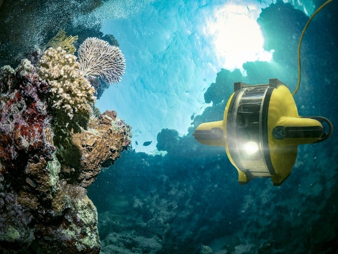 Exploring the Deep: A Guide to Marine Exploration https ...