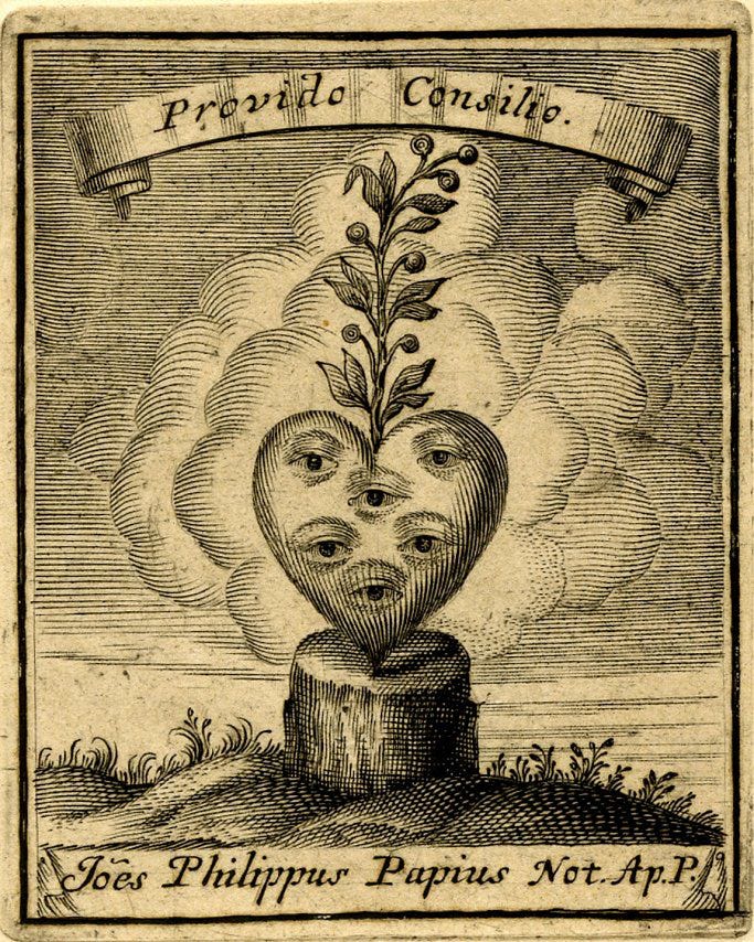 A Reason To Exist. When we first come out of the womb, | by Sirius | Jun, 2025 | Medium