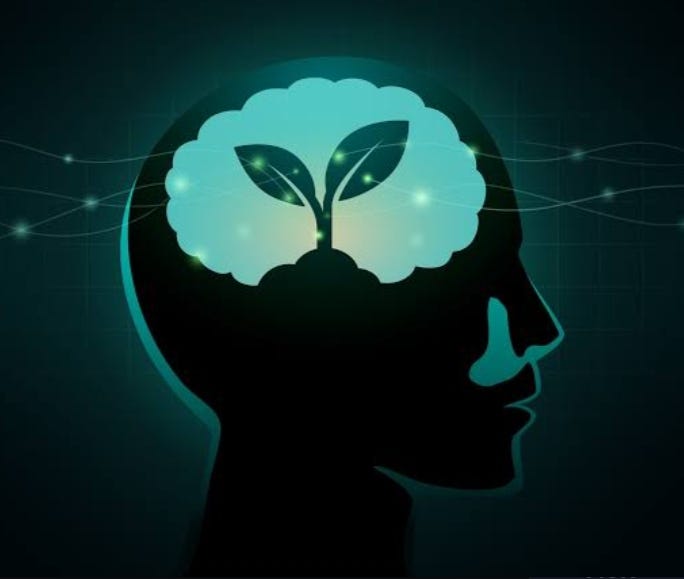 How can we grow our mind…..?. First of all , you need to be positive ...