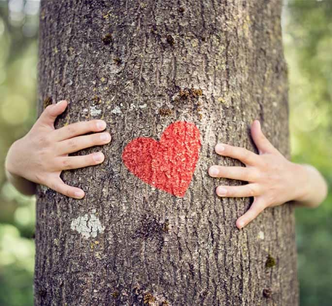 The Forgotten Sibling. Hey Human! I am your Sibling. | by Hemanth Sai ...