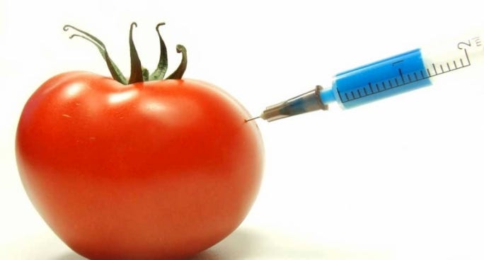 The Flavr Savr Tomato. A Technological Breakthrough in the… | by ...