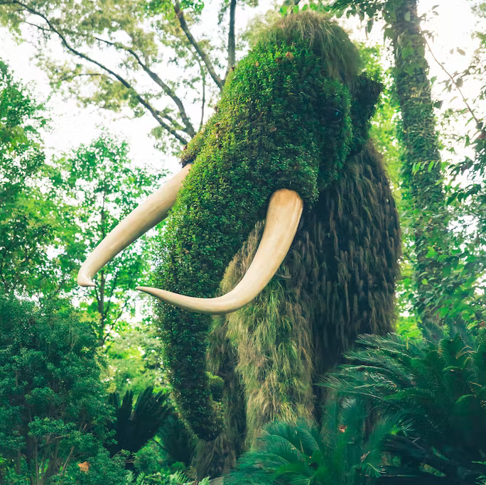 5 Reasons Why I Love Mastodon. The opportunity to delete Twitter would ...