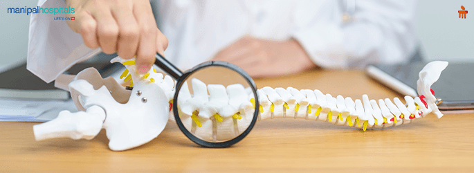 Most Common Spine Disorders. The movement of the human body is a… | by ...