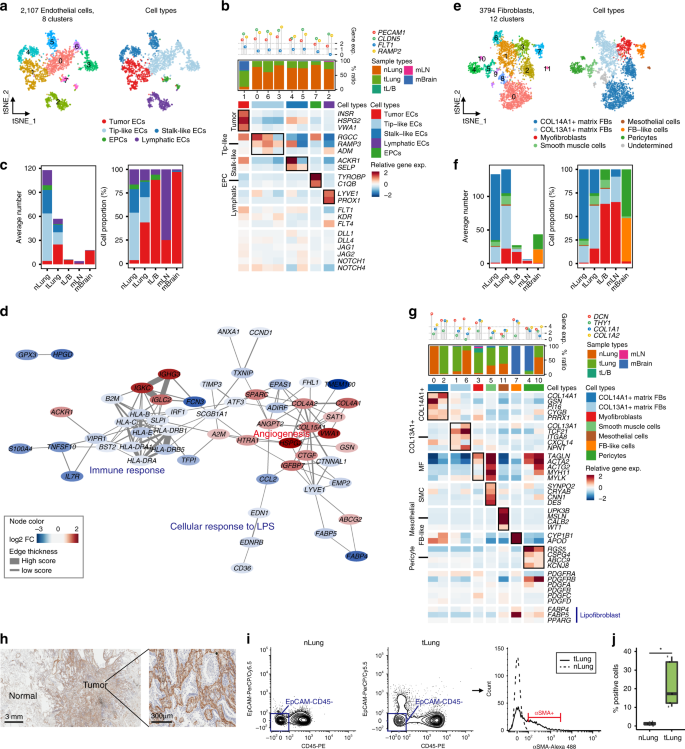 Figure description of scRNA in cancer-1 | by James Dai | Medium